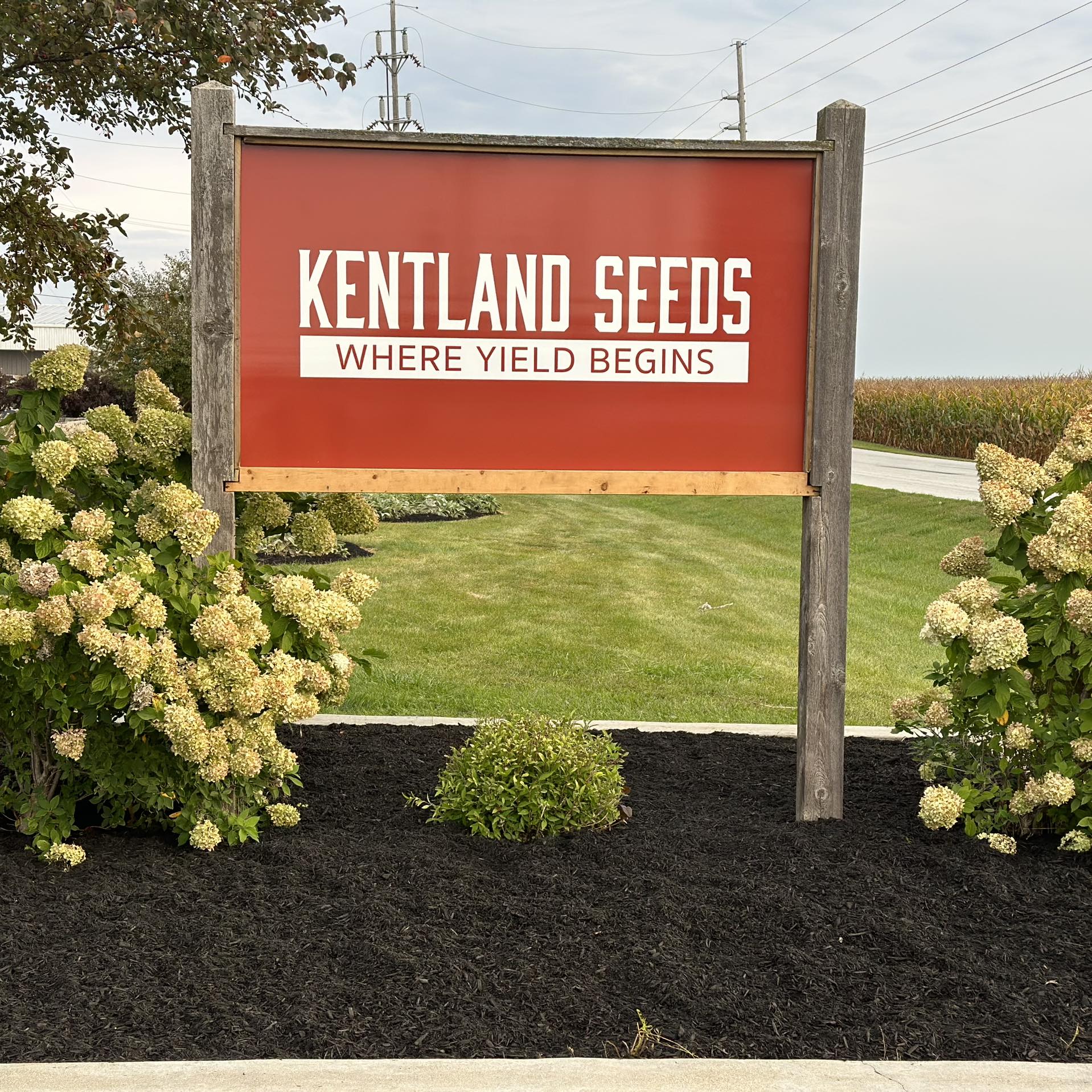 Kentland Seeds - Kentland Seeds